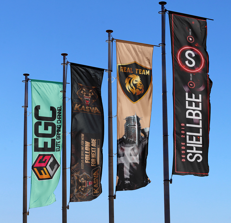 Real Team | Organización E-Sports