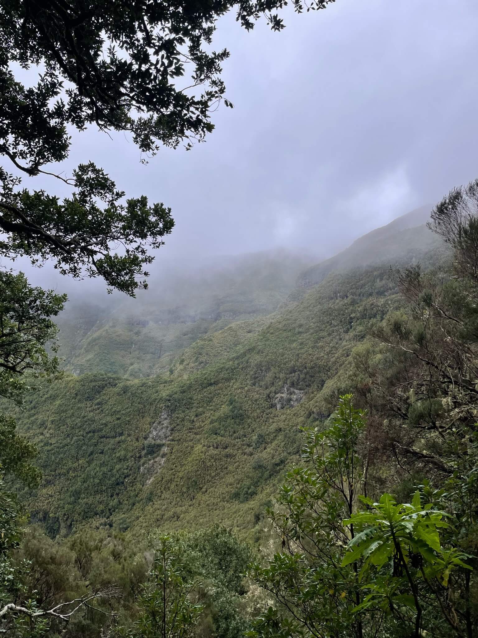 Moderate hiking tours in Madeira | Scampi on Mars