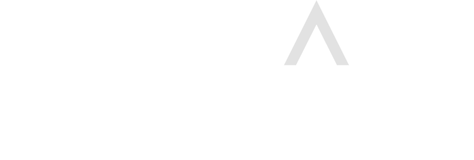 Elevate Agency Website