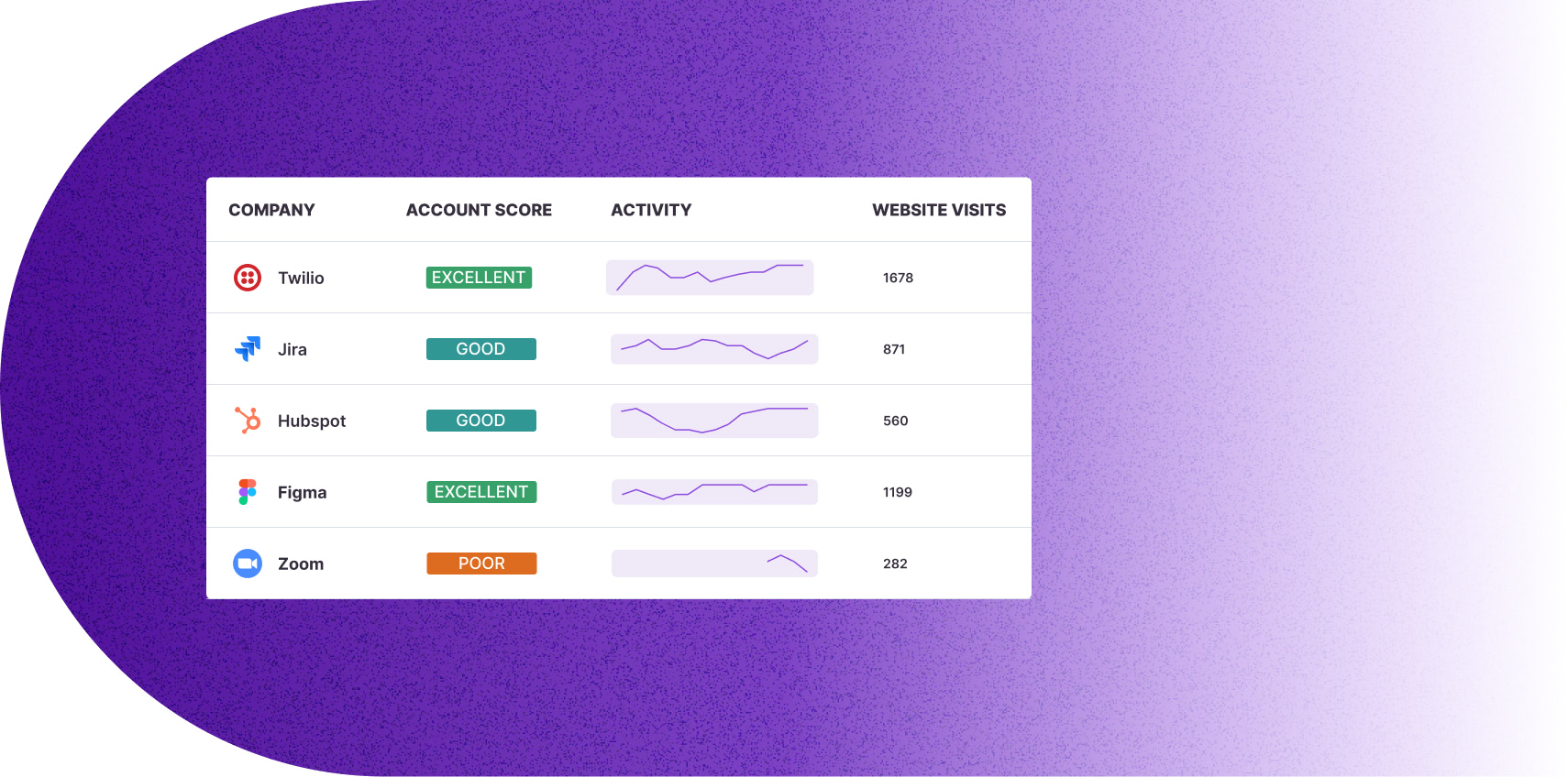Pocus Website Visitors