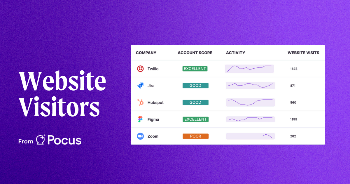 Pocus Website Visitors