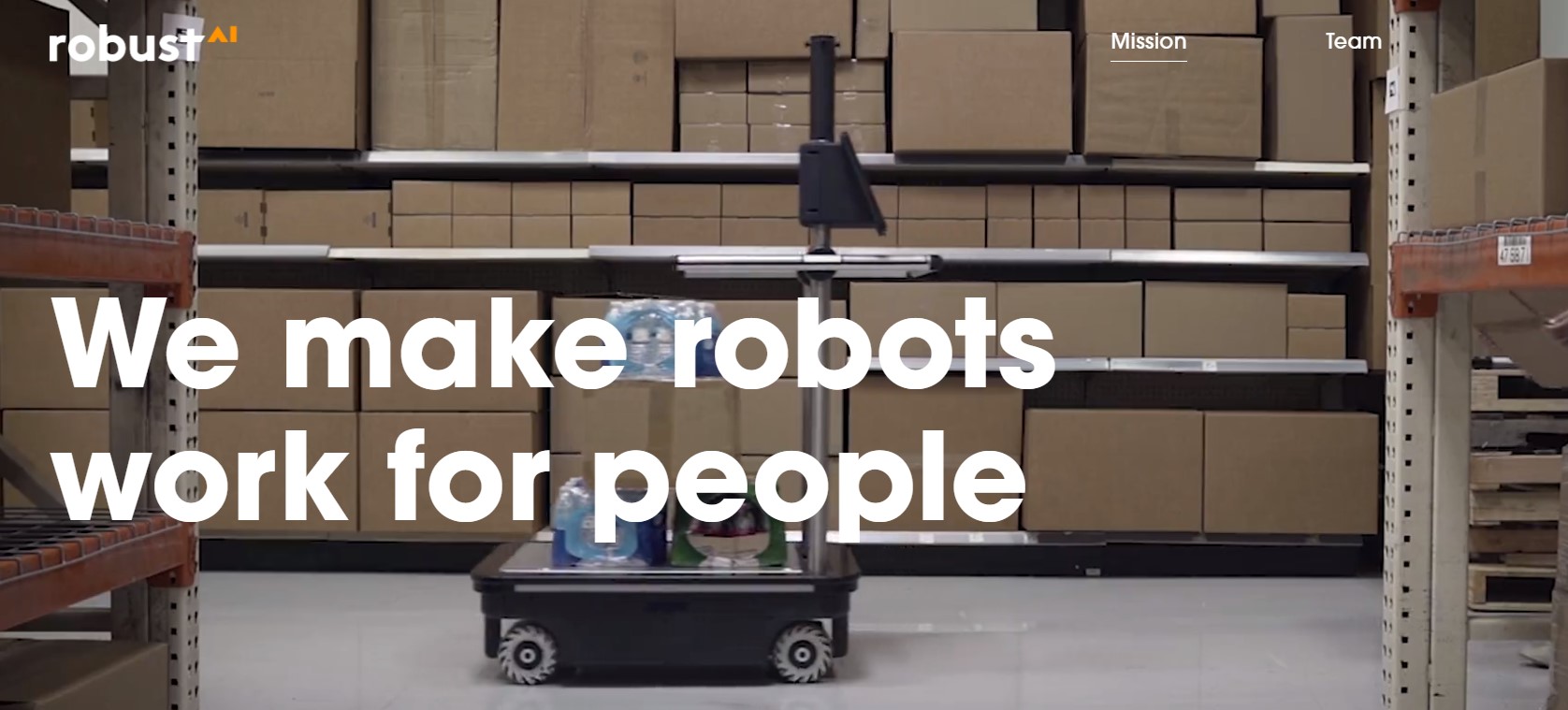 Robust AI: Revolutionizing Automation