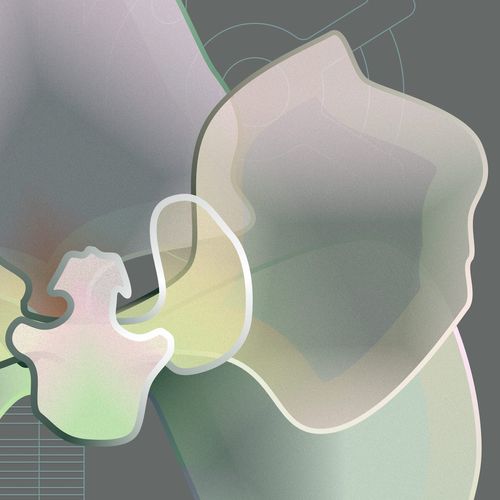 Gitcoin | Fund What Matters To Your Community