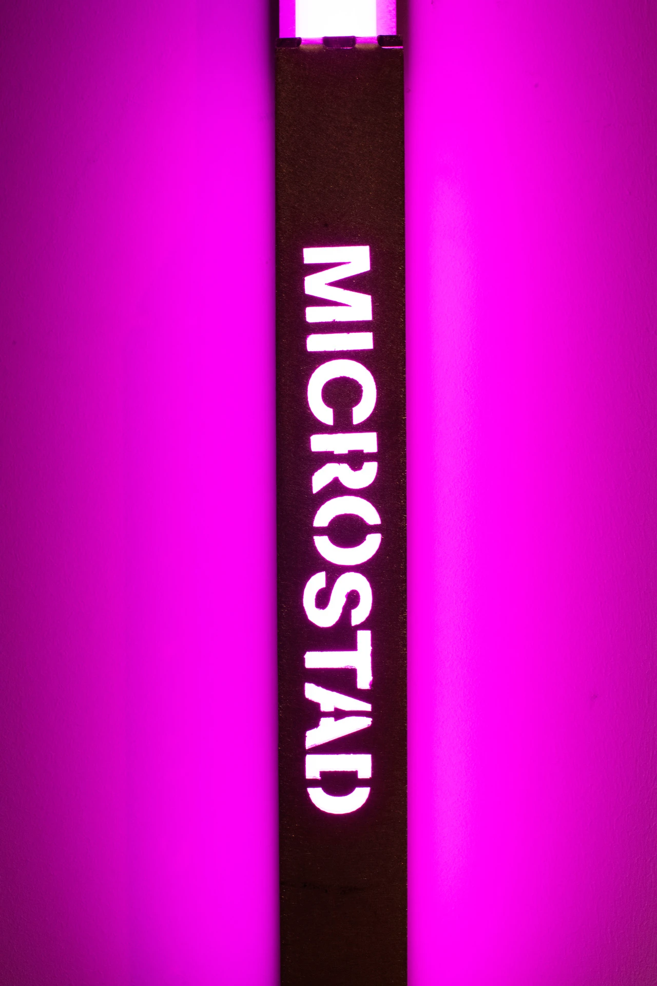 Microstad | Maak kennis met ons team