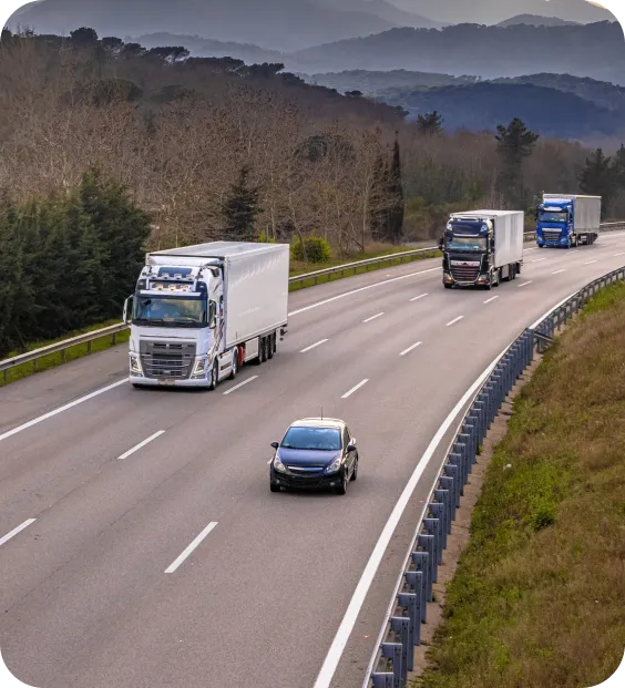 Transport Management System | Tata BB Matrix