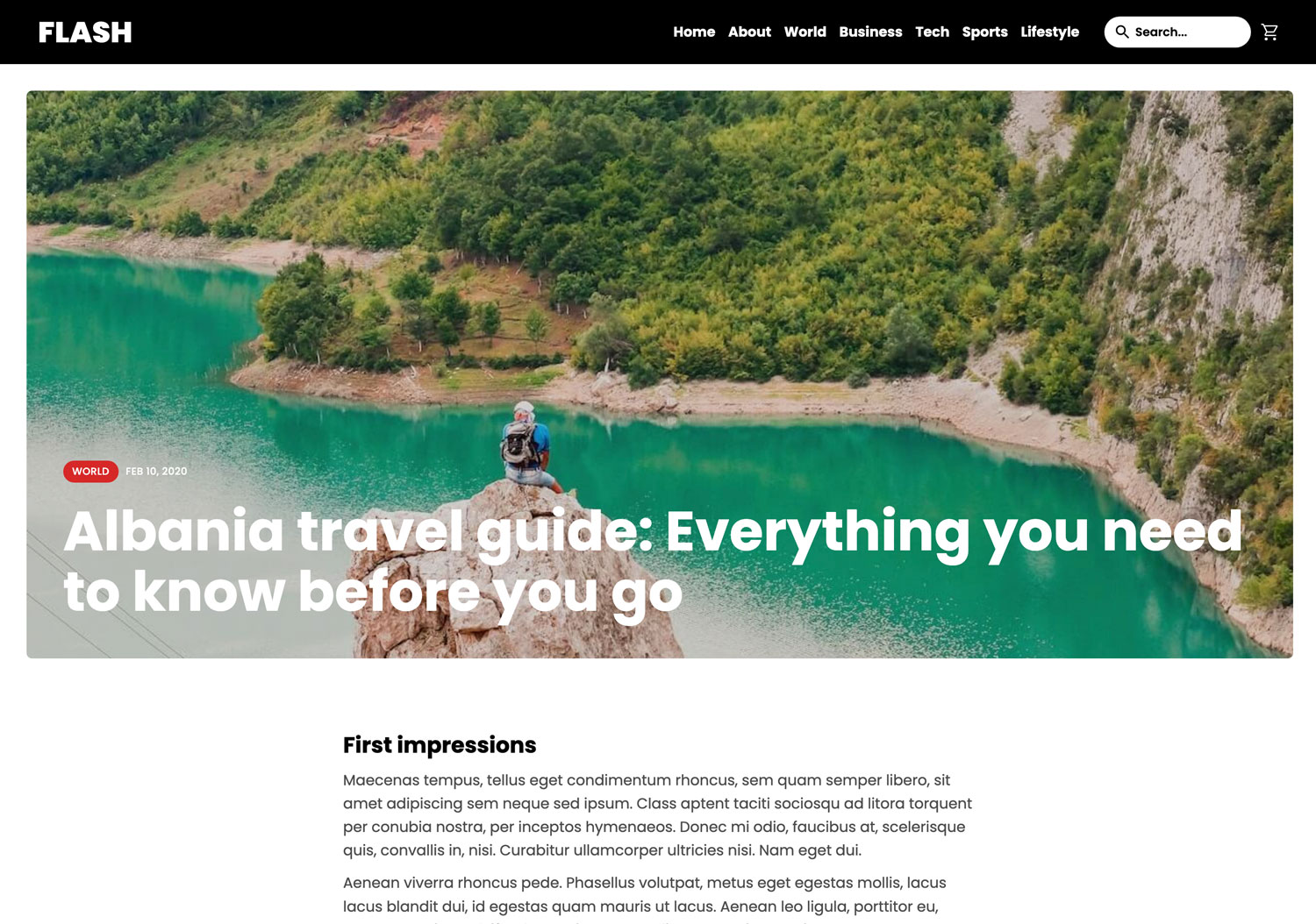 Flash Blog Webflow Template