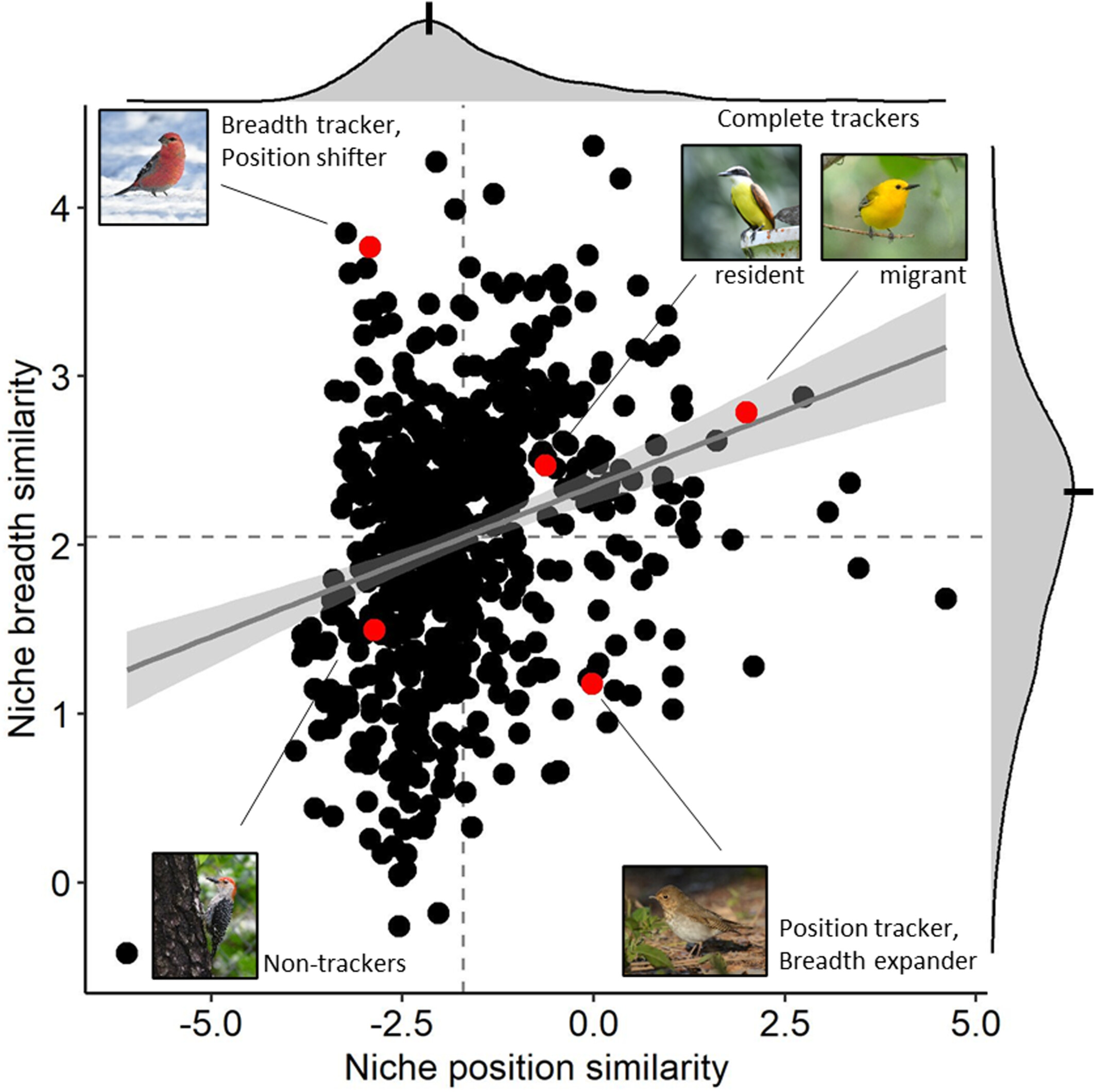 Spatial Biodiversity Modeling