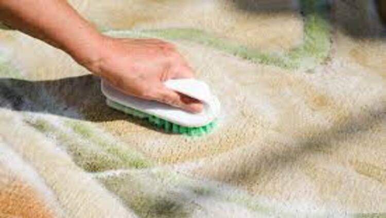 Easy DIY Project: Remove Stains From Your Carpets