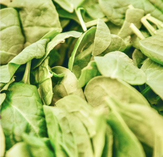 FAQ | Forage Kitchen