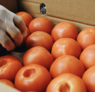 FAQ | Forage Kitchen