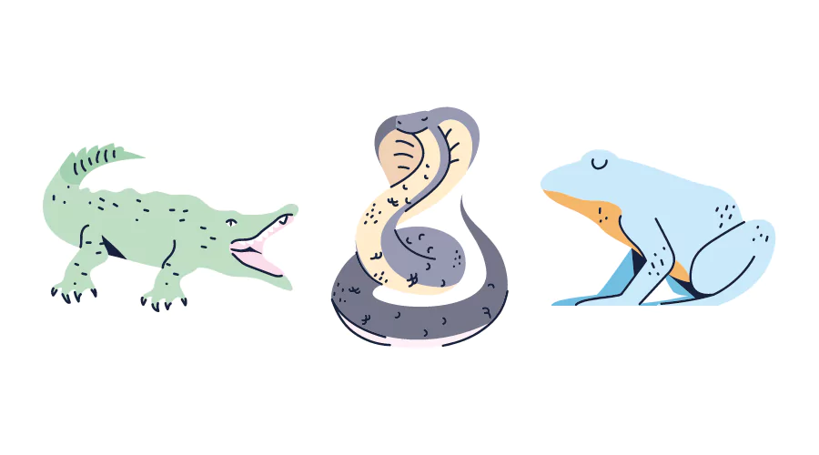 Certificate in Reptile Conservation | My Learning Online | Get Course