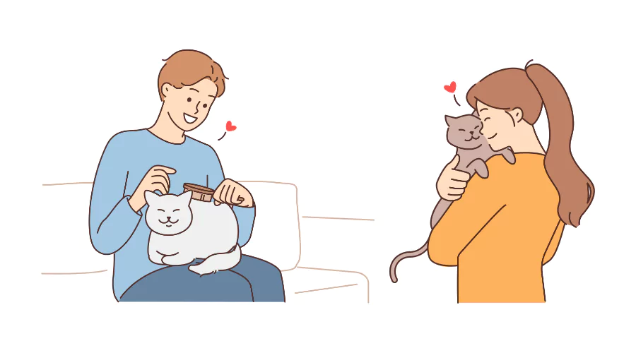 Certificate in Cat Care & Training | My Learning Online | Get Course