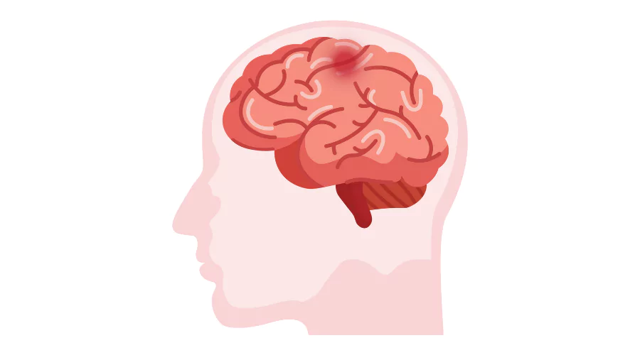 8 Crazy Facts About the Brain | Get Course