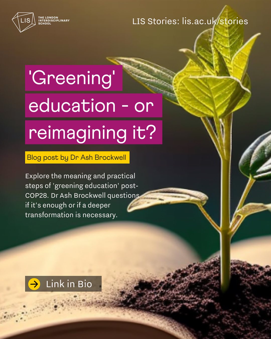 Undergraduate Postgraduate And Professional Courses Lis