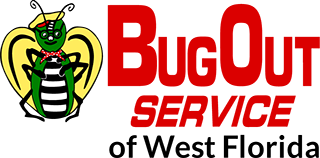 Termite, Pest Control Pensacola, FL | Pace, Jay, Milton FL | Exterminator