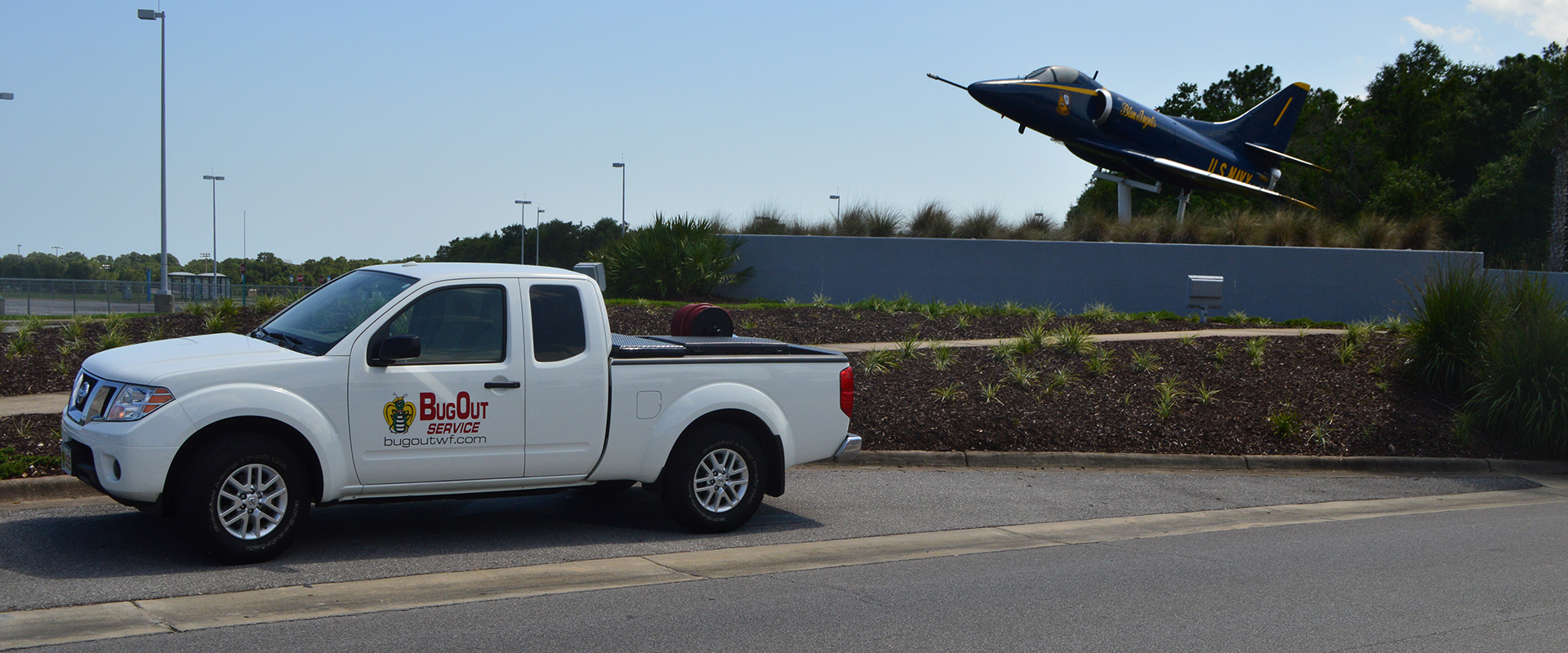 Company Background | Bug Out Service | Pest Control