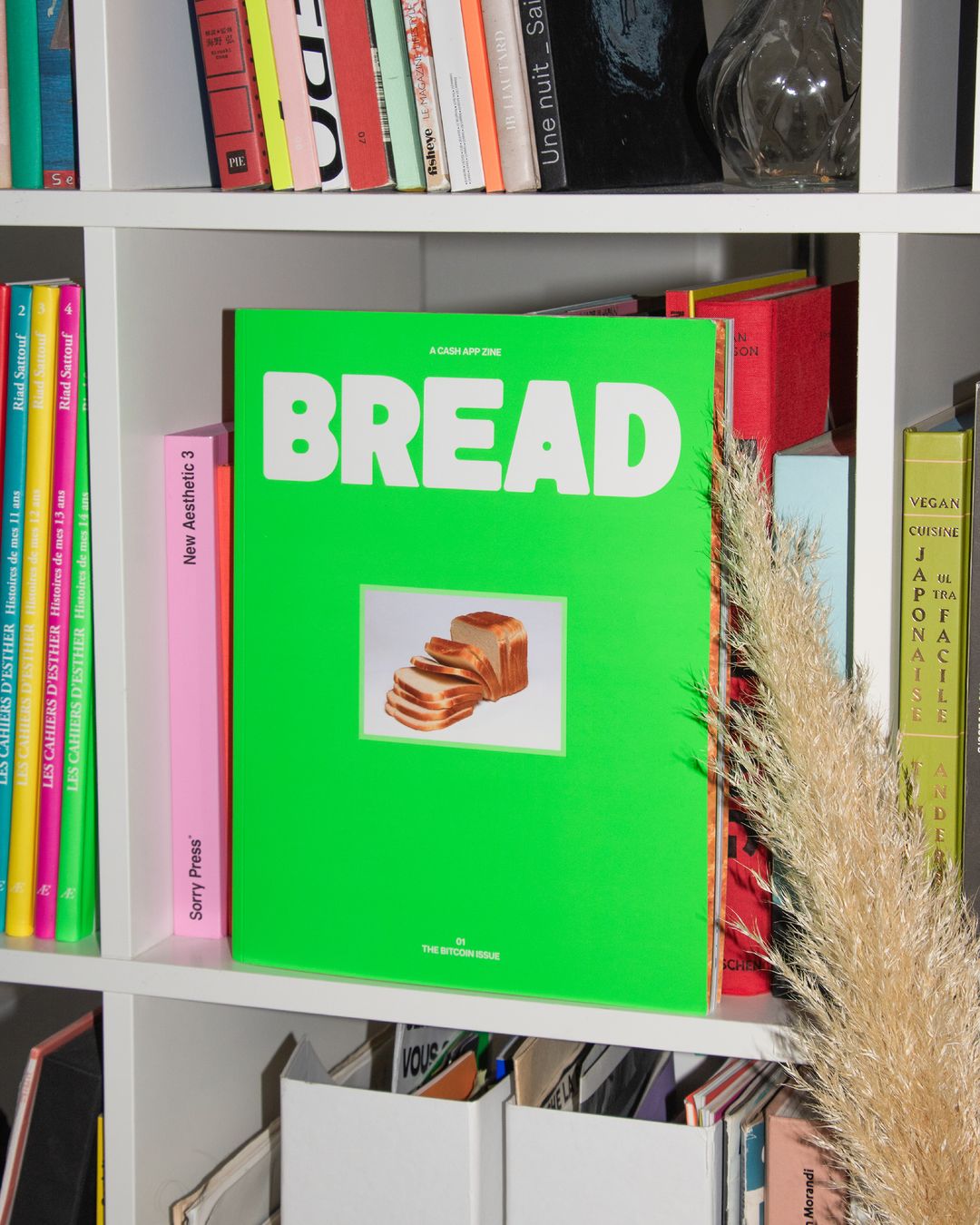 Olympic Studio — Design graphique