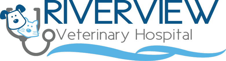 High-Quality Vet Hospital in Riverview, FL | Riverview Veterinary Hospital