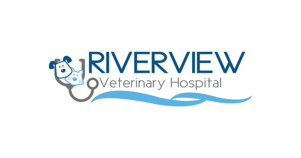High-Quality Vet Hospital in Riverview, FL | Riverview Veterinary Hospital
