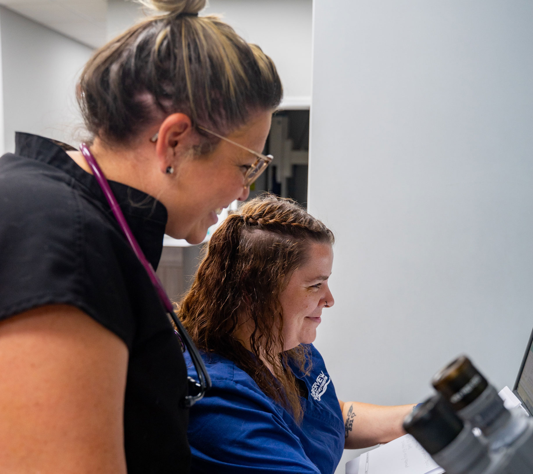 High-Quality Vet Hospital in Riverview, FL | Riverview Veterinary Hospital