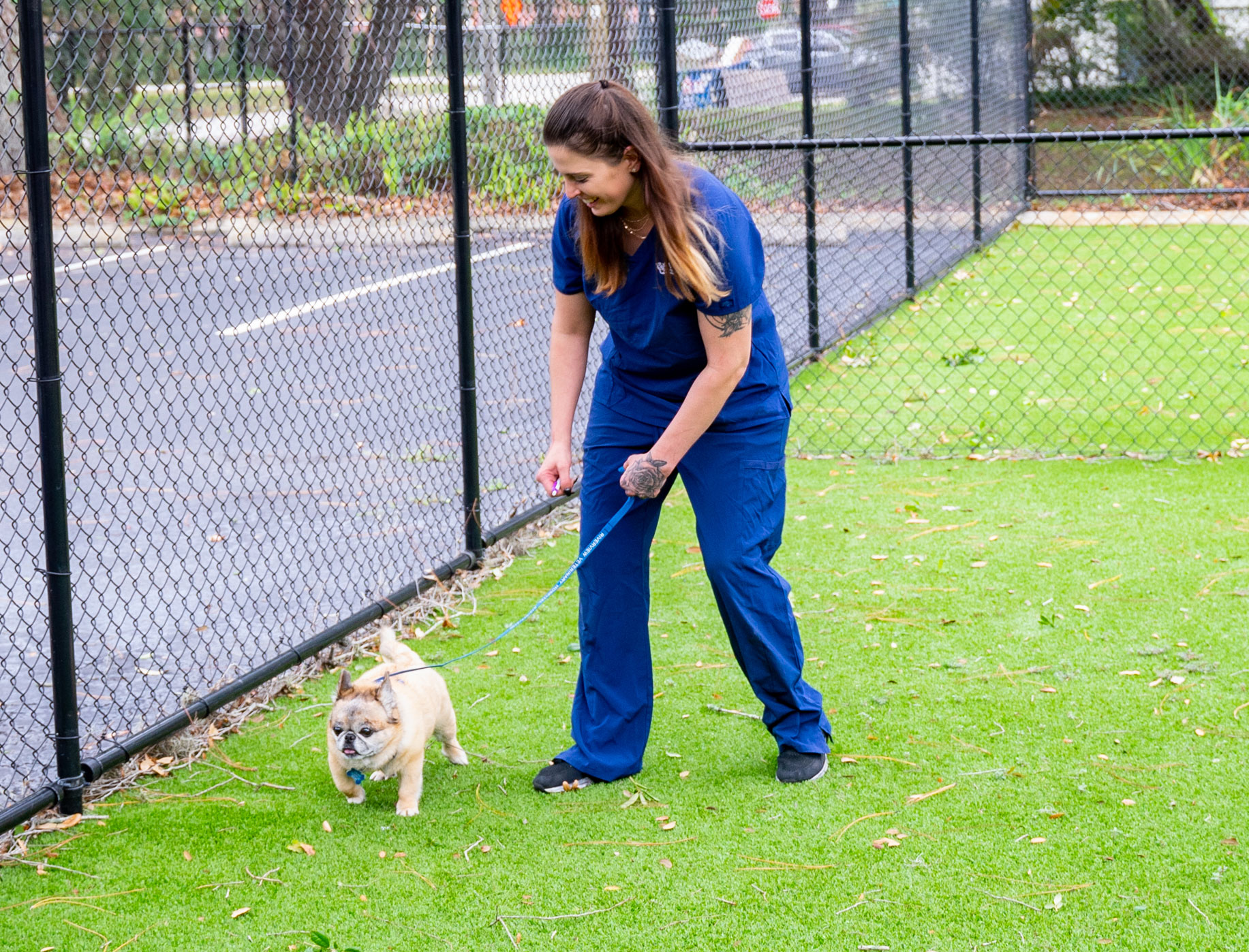 High-Quality Vet Hospital in Riverview, FL | Riverview Veterinary Hospital