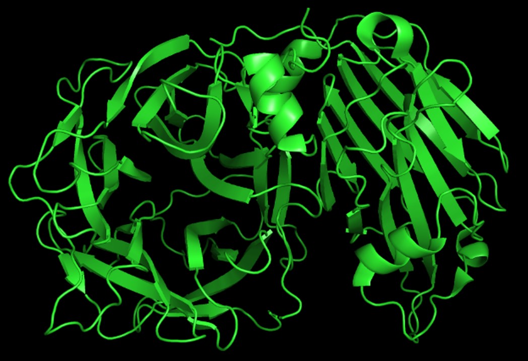 Carbohydrate catalysis - the biochemistry of enzymes in honey