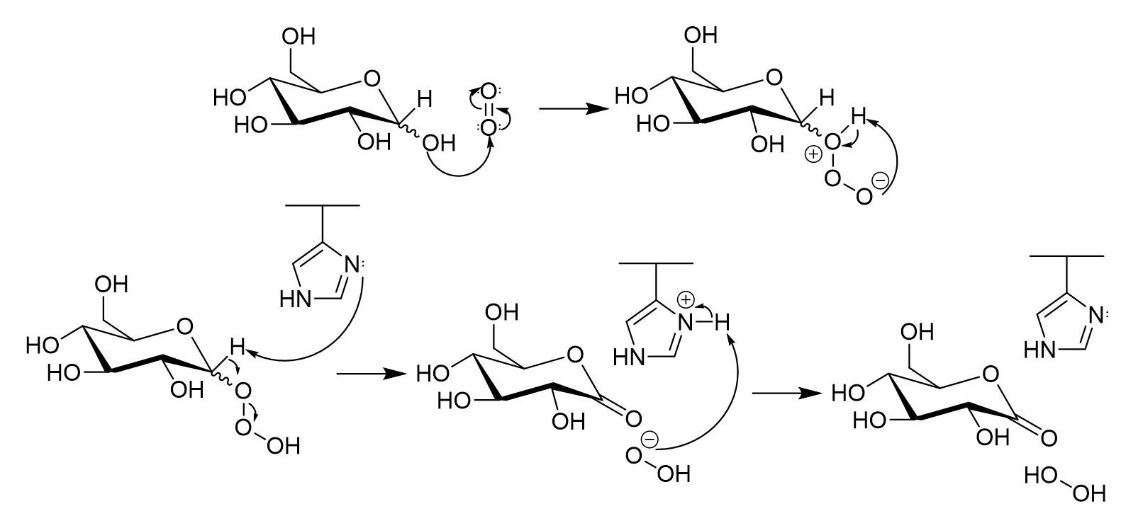 Carbohydrate Catalysis The Biochemistry Of Enzymes In Honey