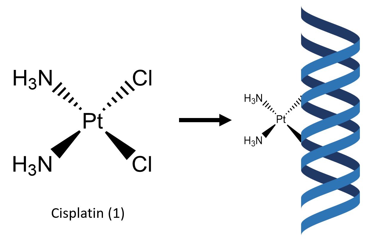 Metallodrugs: a brief overview