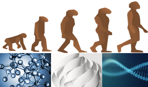 A beginner’s guide to studying the origins of life