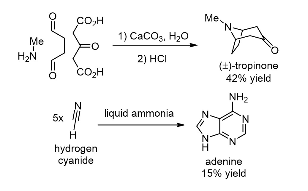 A beginner’s guide to studying the origins of life