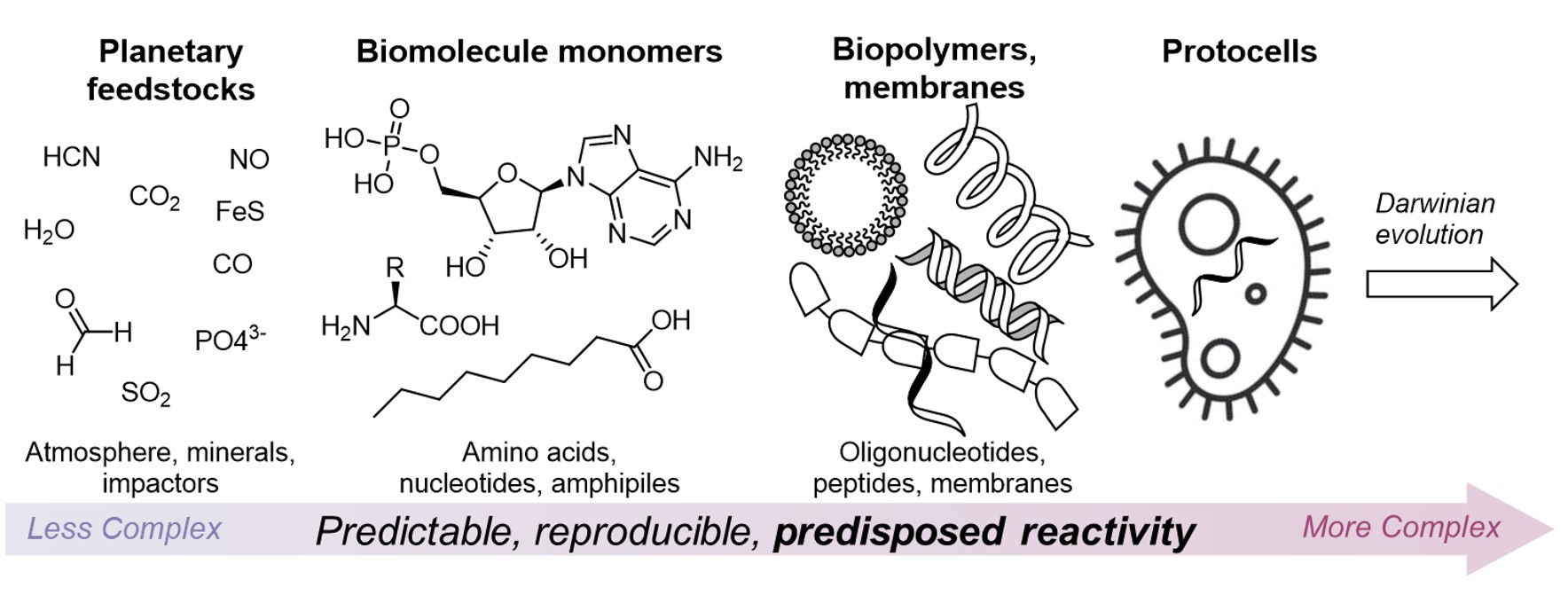 A beginner’s guide to studying the origins of life