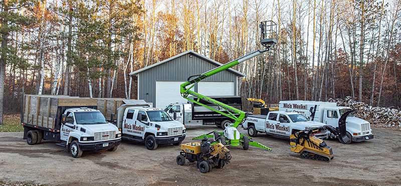 Tree Service: Tree Care Services | Affordable Tree Service