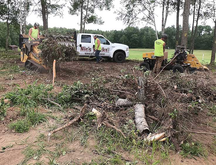 Professional Tree Cutting