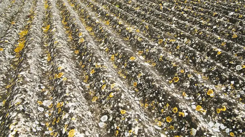 Asbestos Exposure Conditions and Symptoms: Health Risks | Certified ...