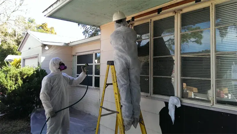 What You Need To Know About Conducting a Mould Assessment For Your ...