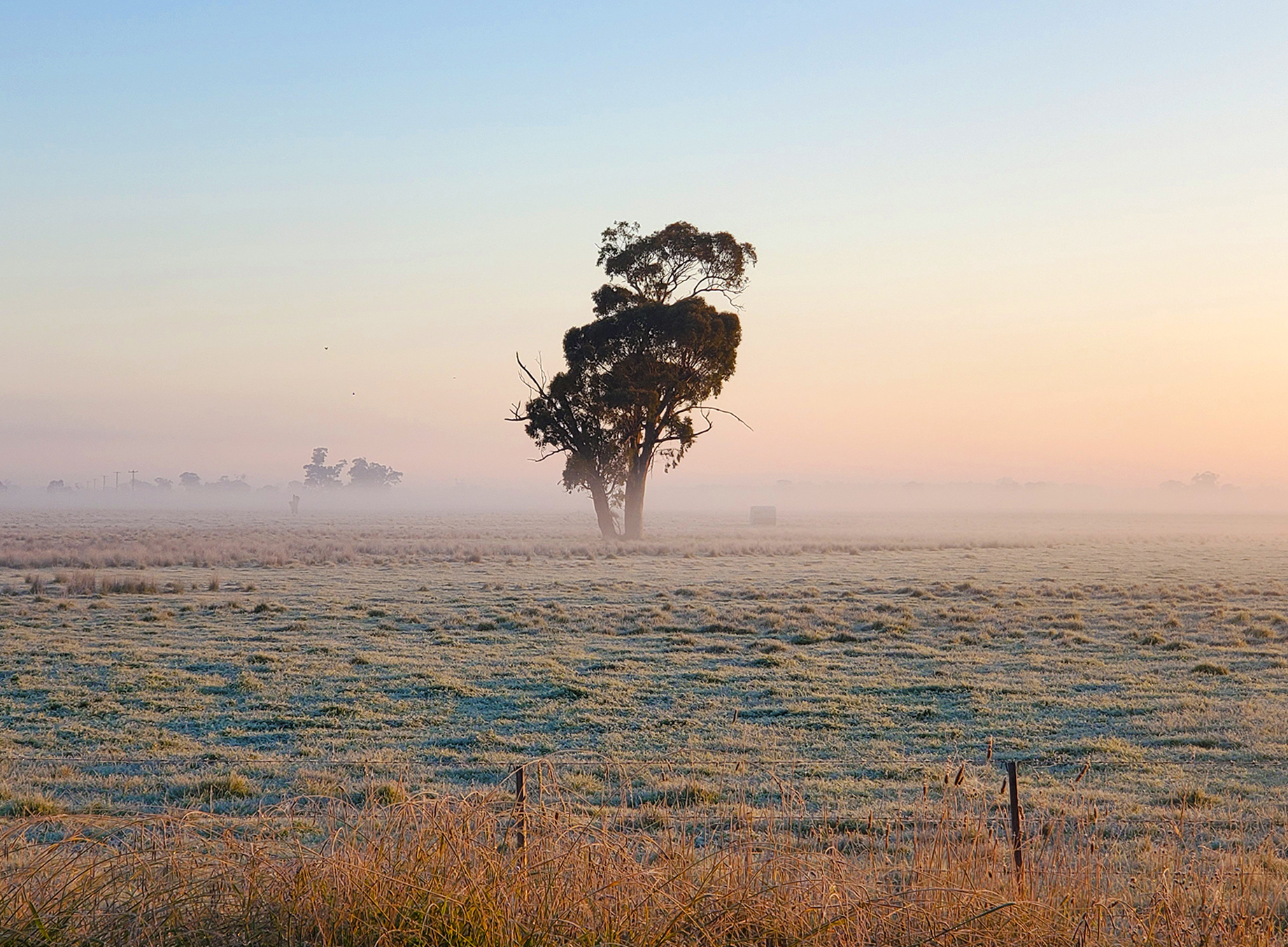 Southern Cross Gold Community Website