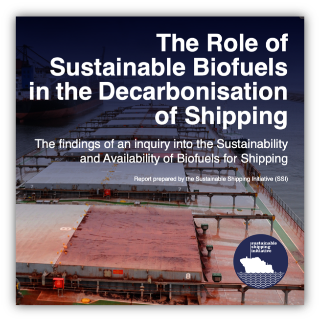 Report - The Role of Sustainable Biofuels in the Decarbonisation of ...