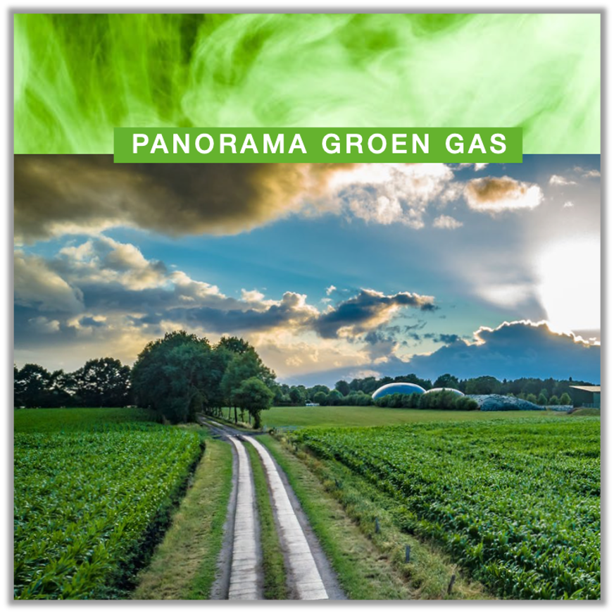 Report - Panorama groen gas 2021 | 2021