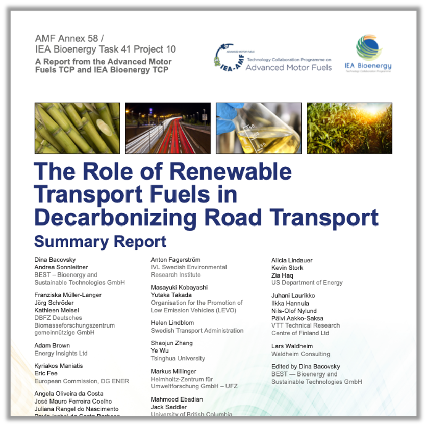 Report - The role of renewable transport fuels in decarbonizing road ...