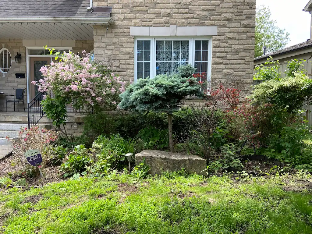 Absolute Home Services - Home Improvement Contractor GTA