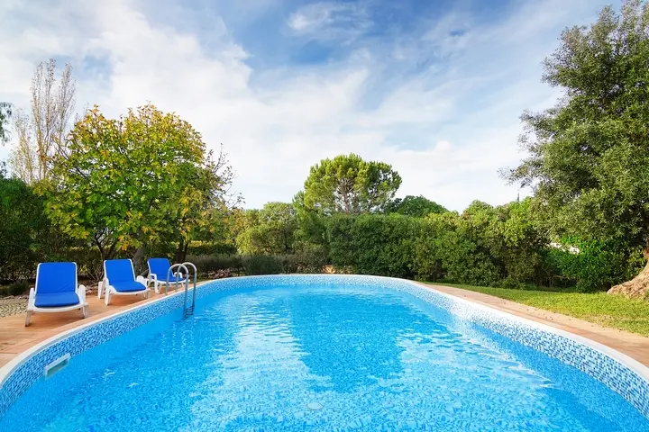 Summer Pool Landscaping Ideas | Absolute Home Services