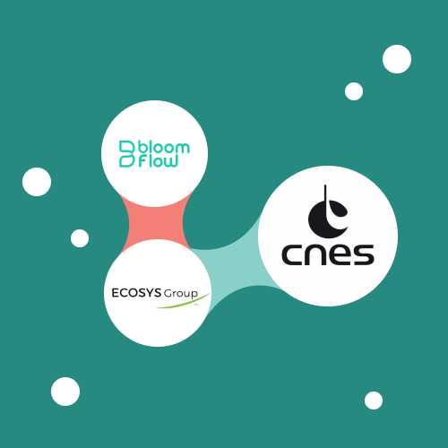Success Story: The CNES, Bloomflow, and Ecosys Break Innovation Silos ...