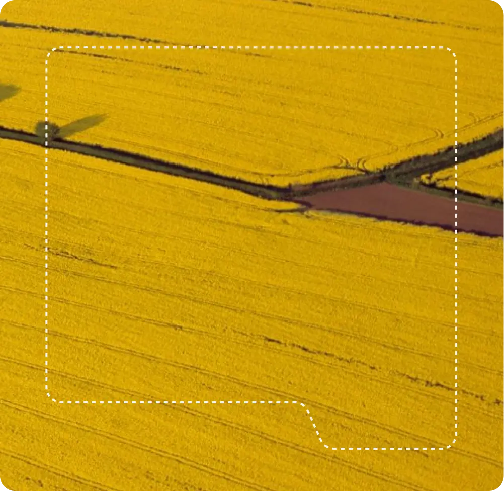 Klim I The Movement for Regenerative Agriculture