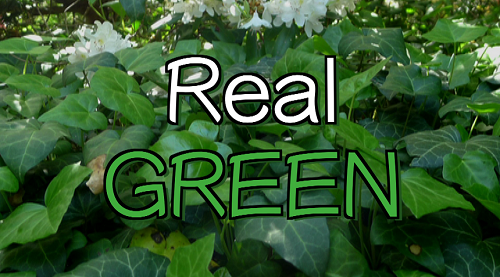 Real Green | PMI.tv