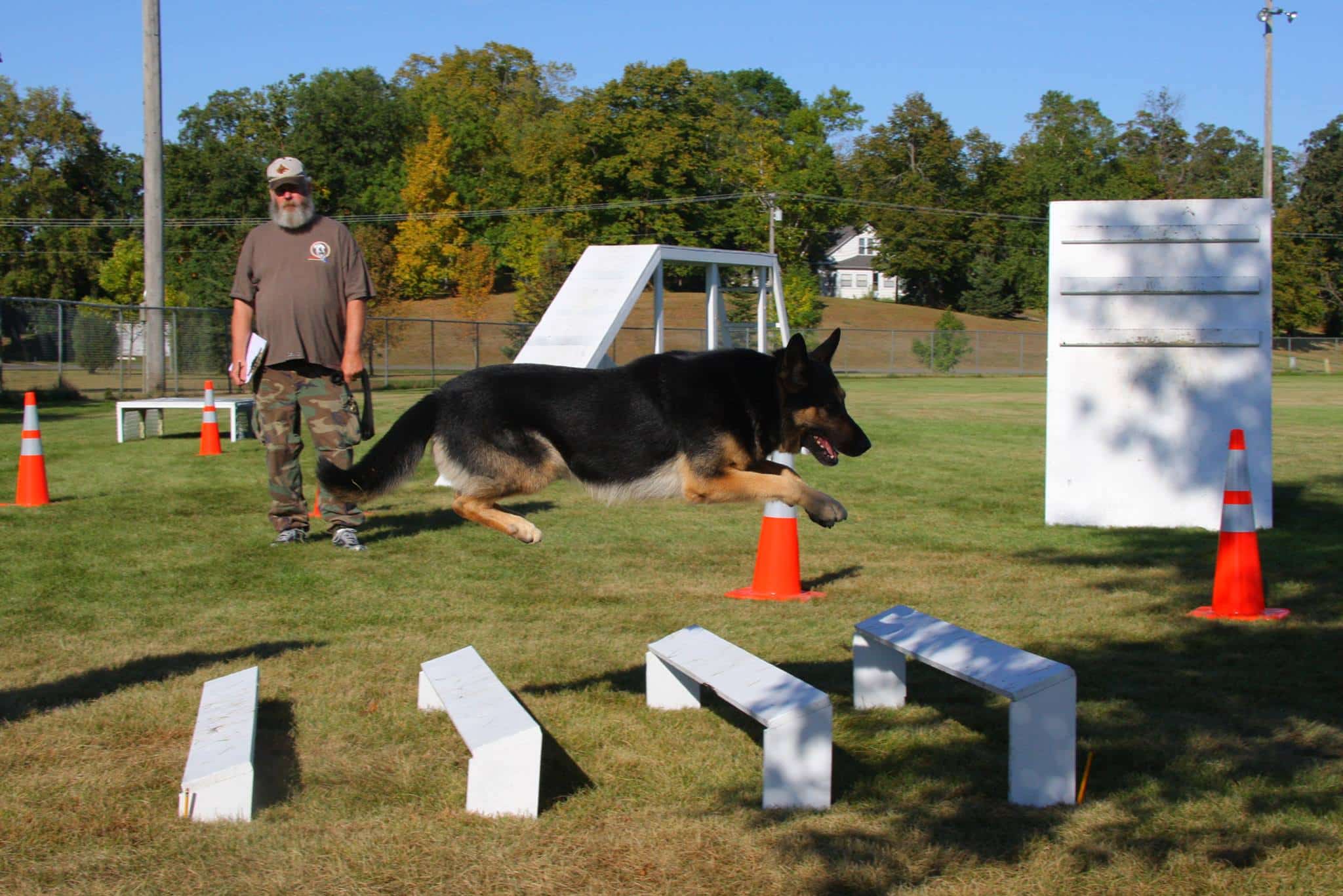 Dog Boot Camp | Dog Training Class