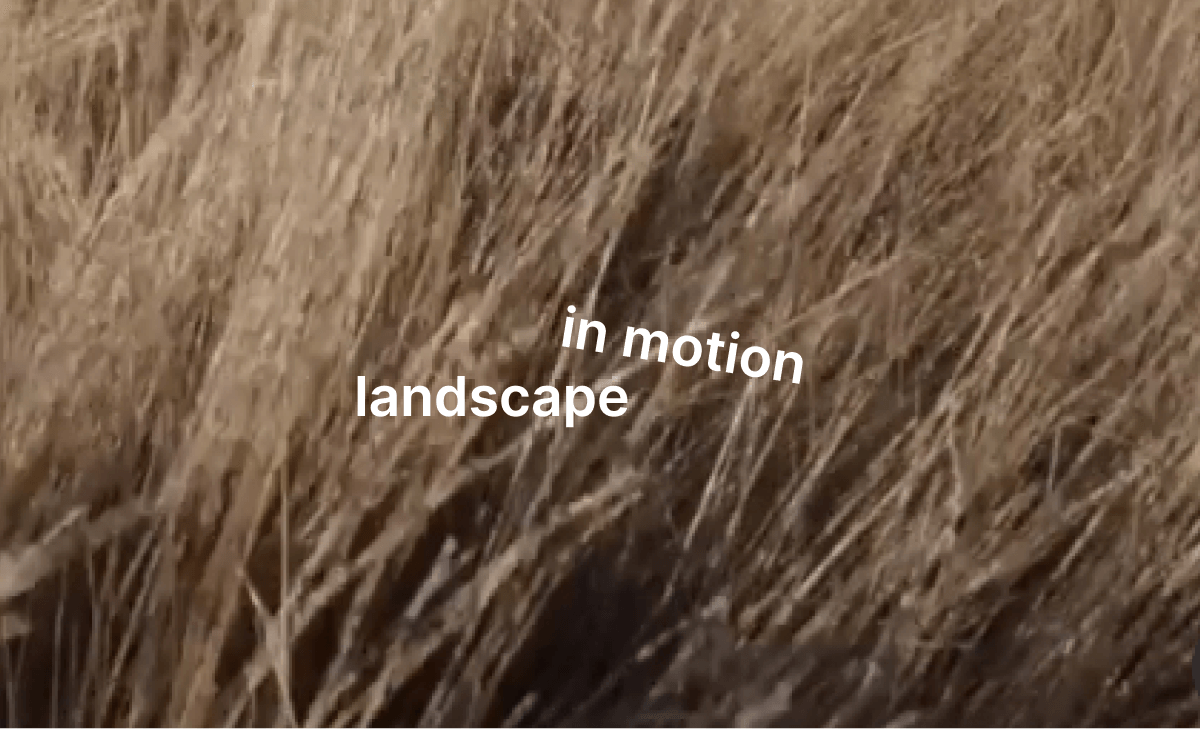 Landscape in Motion