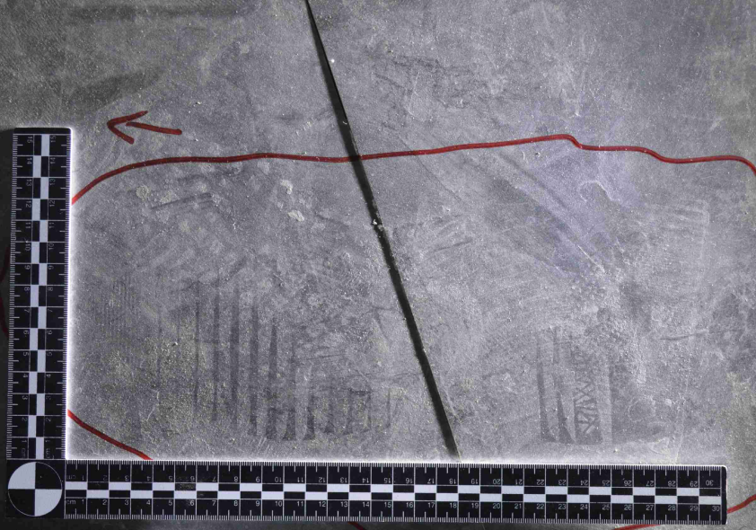 The importance of footwear impressions and shoe model database