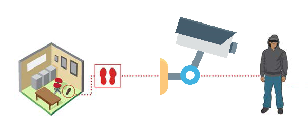 The Importance and Application of Footwear Intelligence