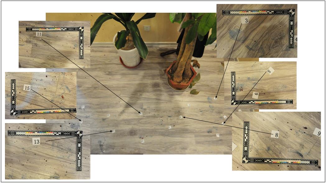 Footwear Impressions in Crime Scene Investigations _ Part 3 Secret Date ...