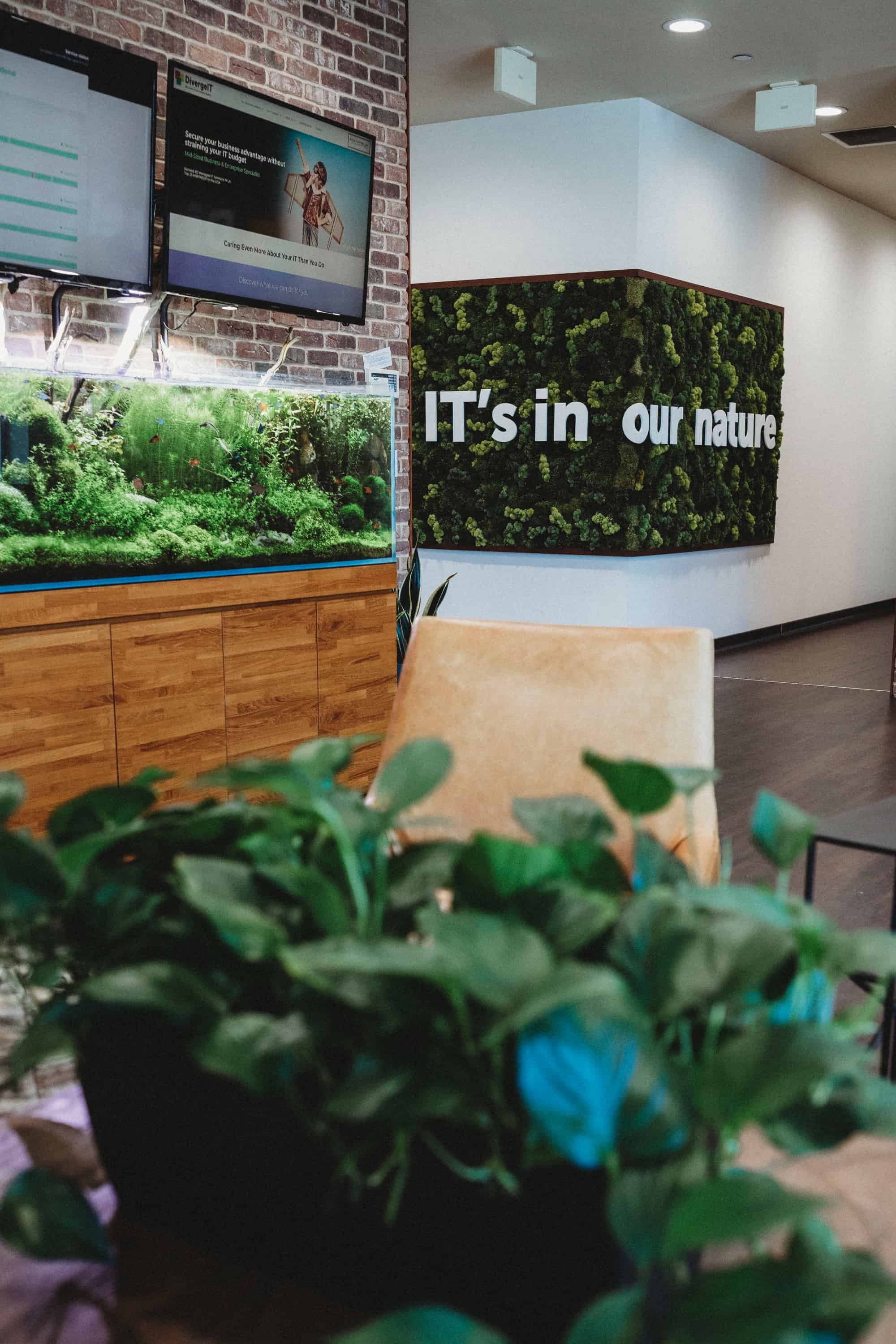 IT Support Beverly Hills, CA: Expert Services With DivergeIT